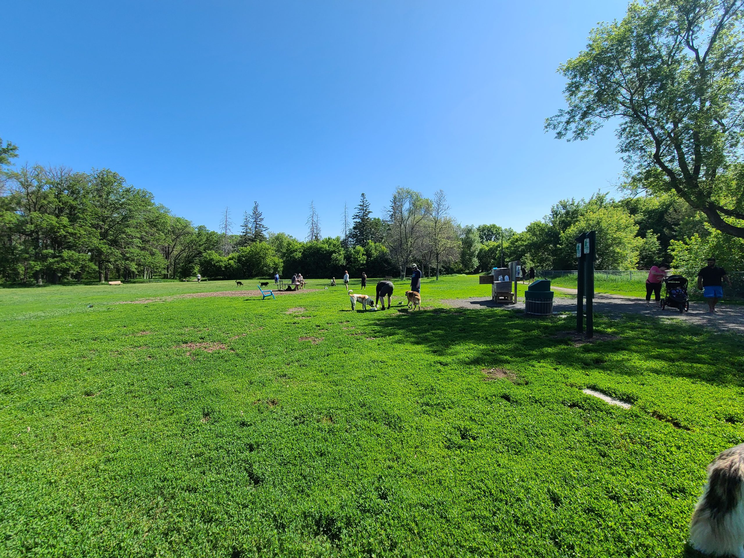 MGPDOA – Maple Grove Park Dog Owners' Association